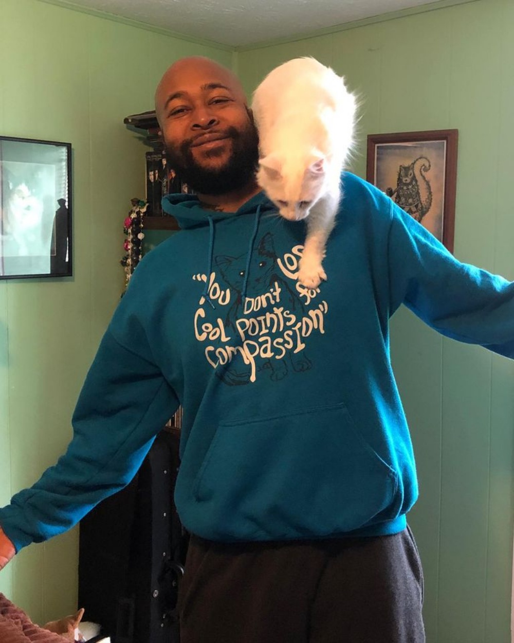 Rapper deixa a indústria musical para resgatar gatos e transforma suas ...